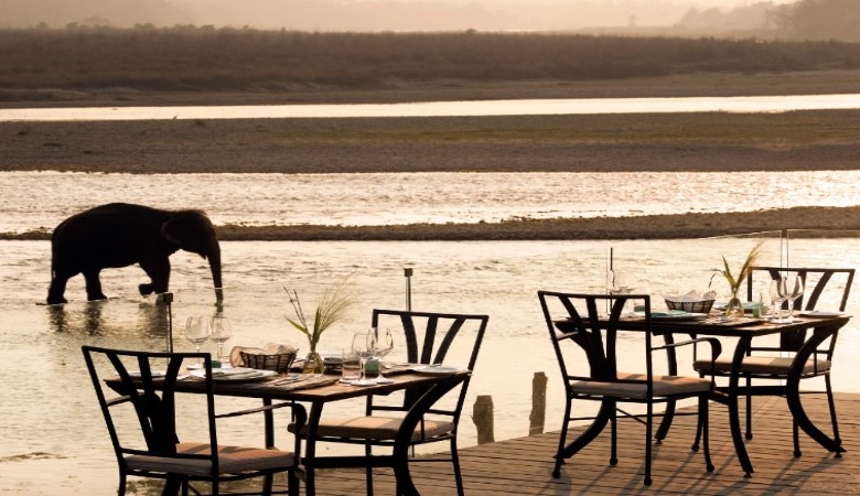 Luxury Getaways, Meghauli Serai, A Taj Safari