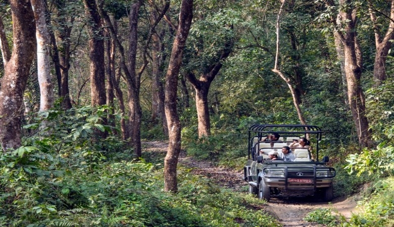Luxury Getaways, Meghauli Serai, A Taj Safari