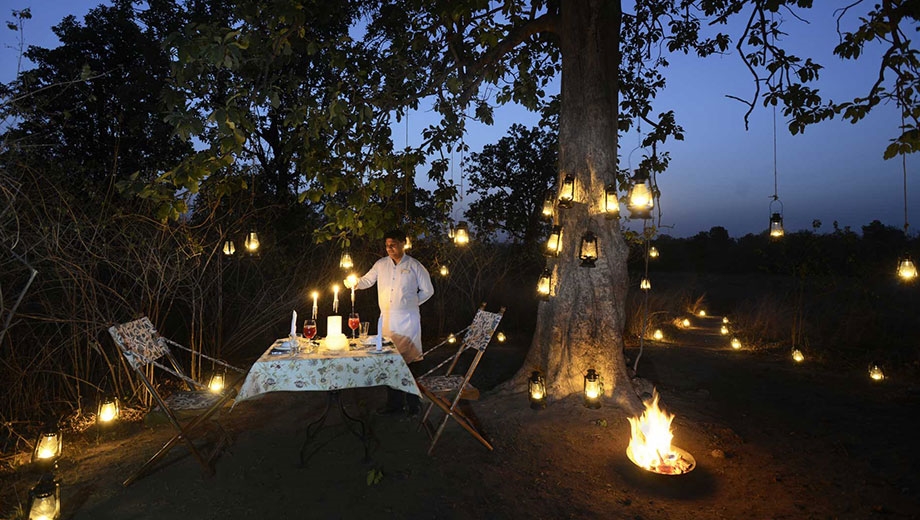 Pench Tree Lodge