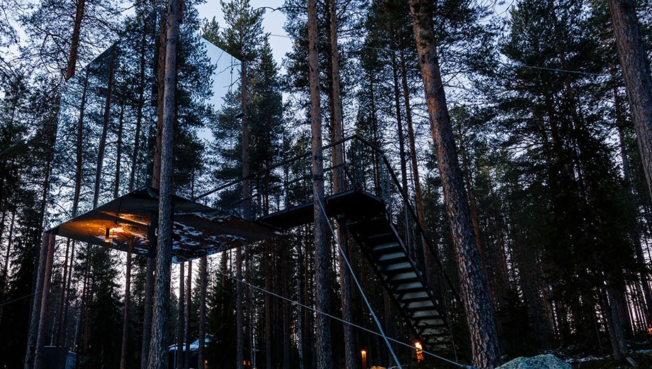 Tree Hotel Sweden | Luxury Hotels in Sweden | Best Hotels in Sweden